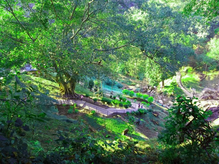 Unakoti Rock Carvings: UNESCO Heritage Treasure Guide 2025 - Unakoti.in